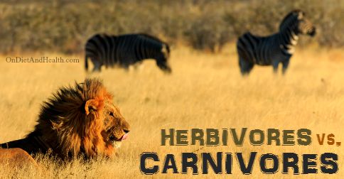 Herbivores vs Carnivores