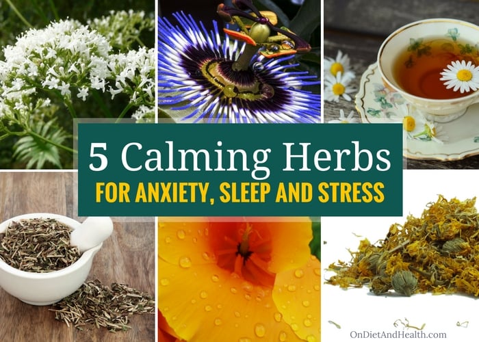 5 Calming Herbs For Anxiety Sleep And Stress