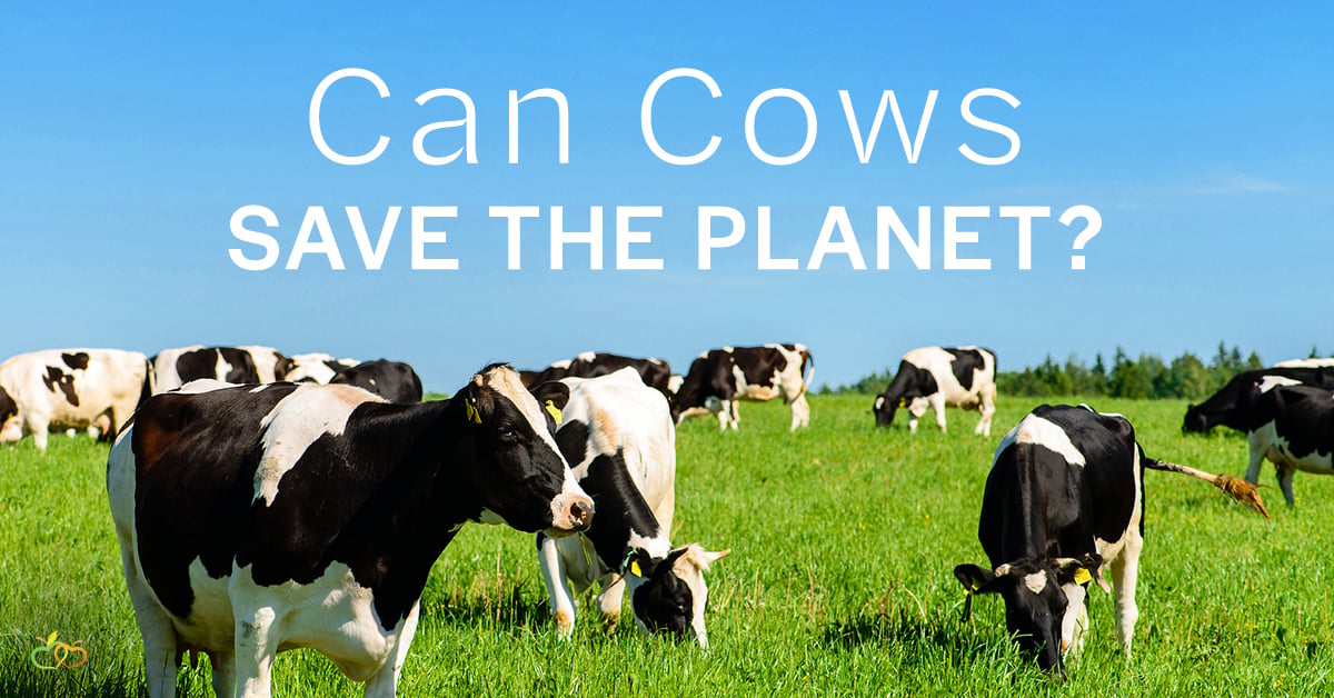 Can Cows Save the Planet?