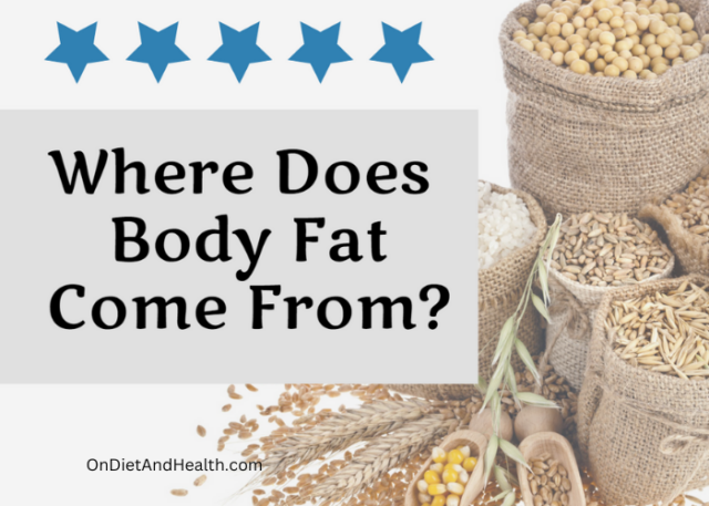 where does body fat come from